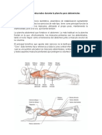 Músculos Del Torso | PDF | Sistema musculoesquelético | Anatomía humana