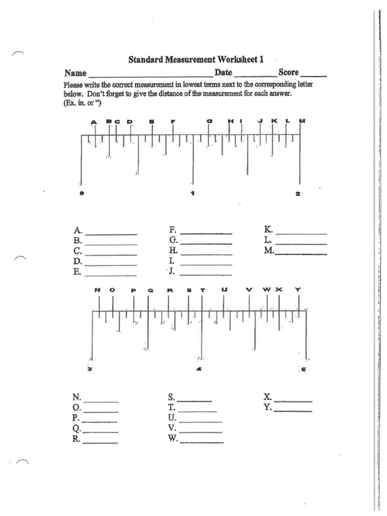 Measurement Worksheets | PDF