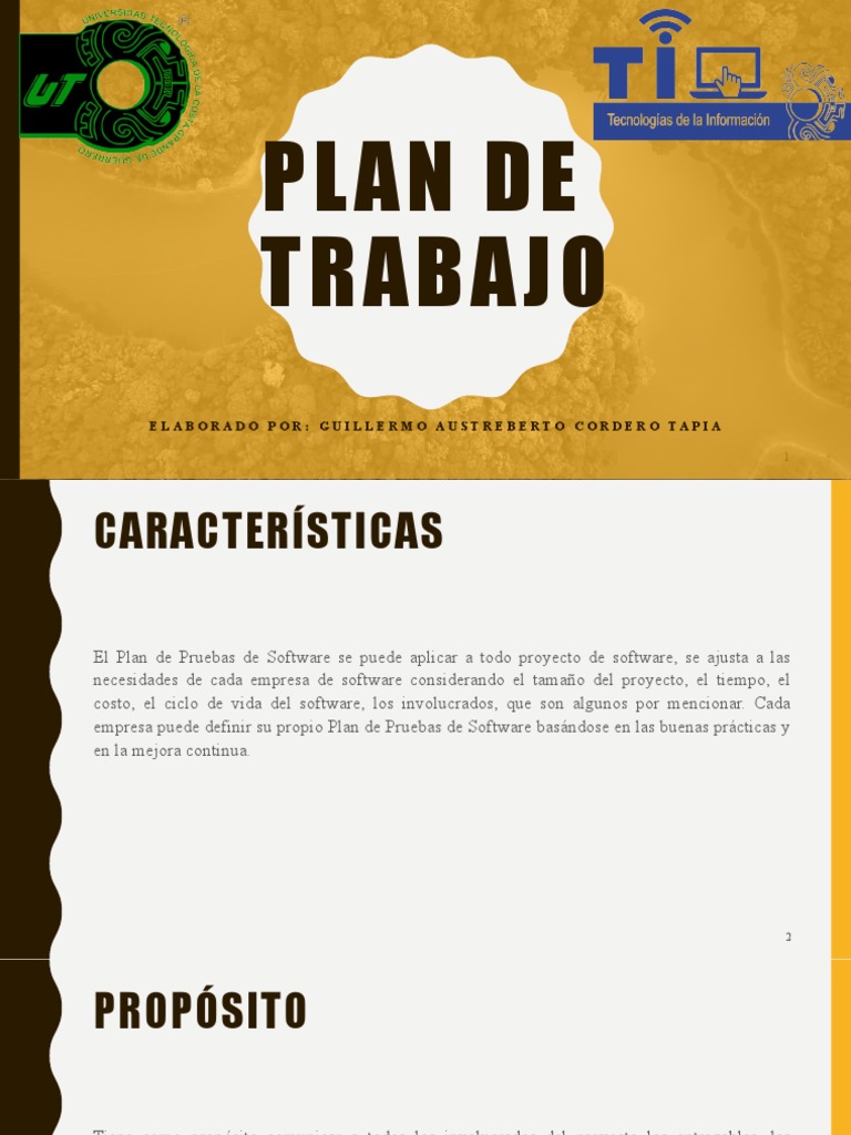 Plan De Trabajo Pdf