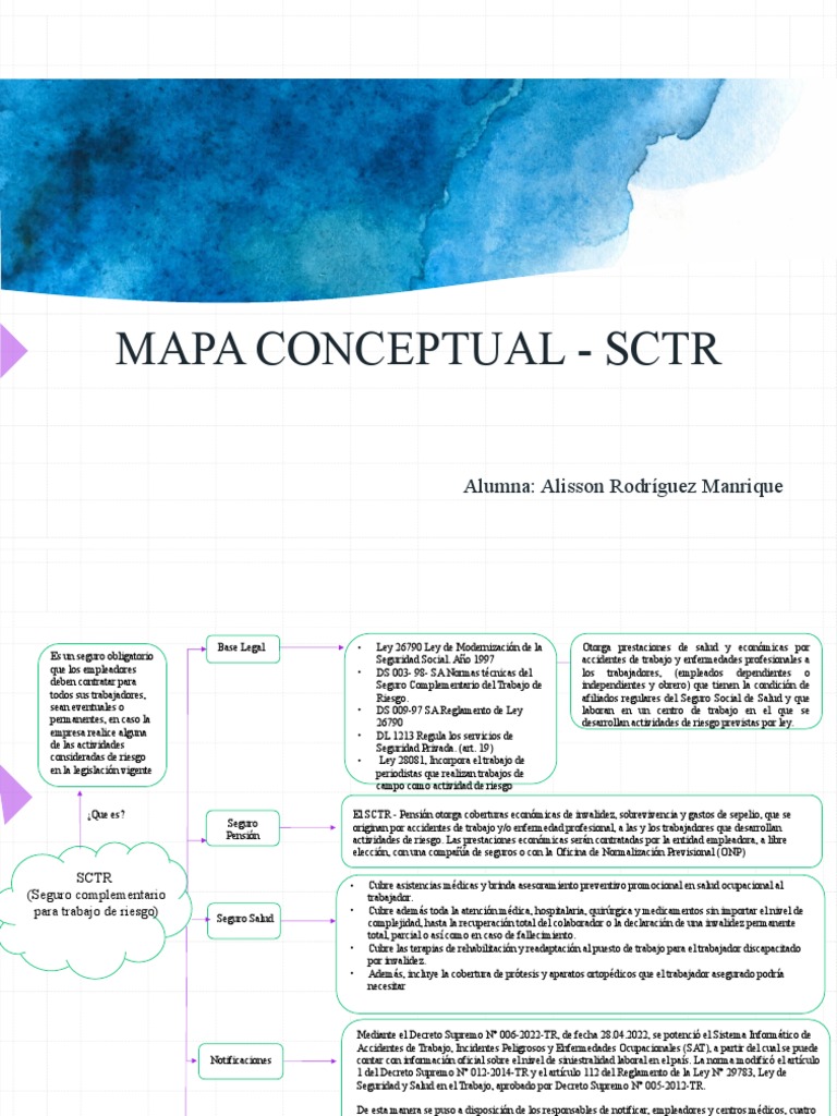 Mapa Conceptual - SCTR (Alisson Rodriguez Manrique) | PDF | Seguro | Ciencias de la Salud