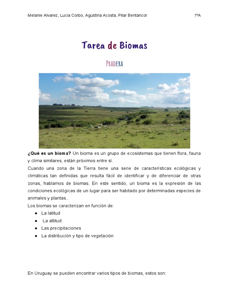 Tarea Biomas 1°a | PDF | Los bosques | Agricultura