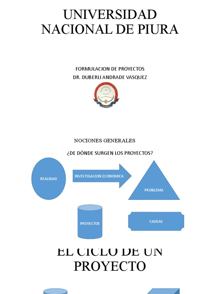 Formulacion de Proyectos 2021 | PDF | Mercado (economía) | Bienes