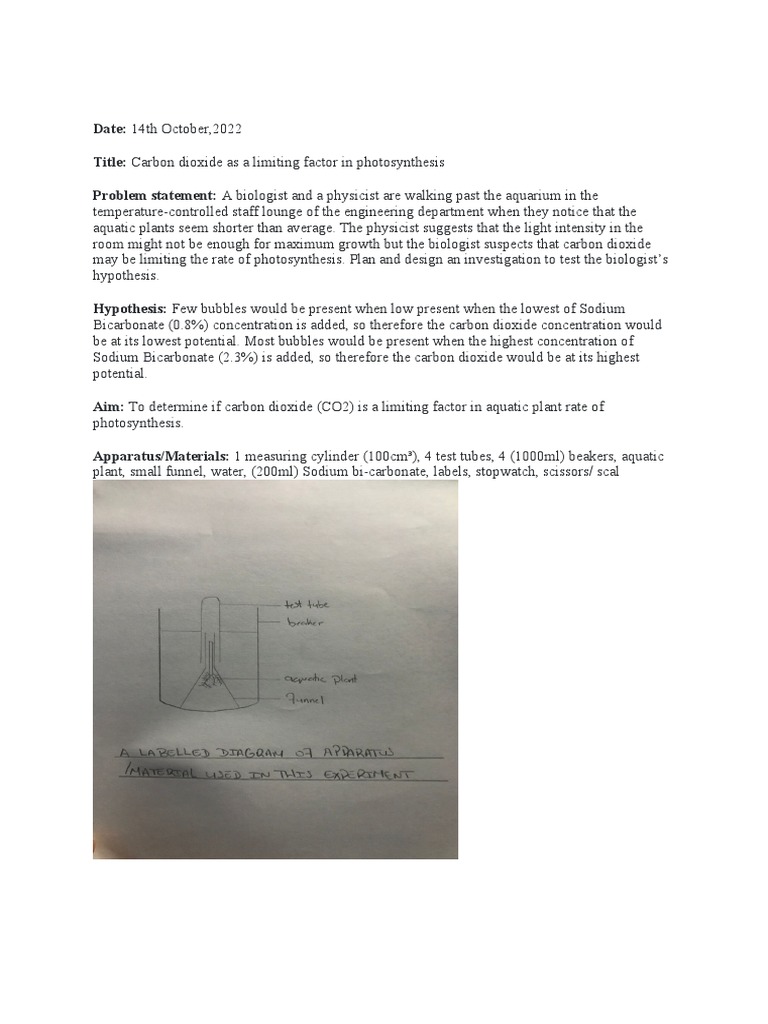 Biology Lab2 | PDF | Photosynthesis | Carbon Dioxide
