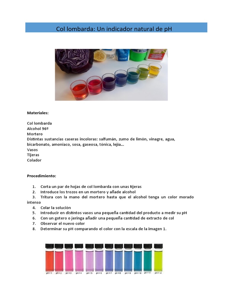 Indicador PH | PDF | Ph | Ciencias fisicas
