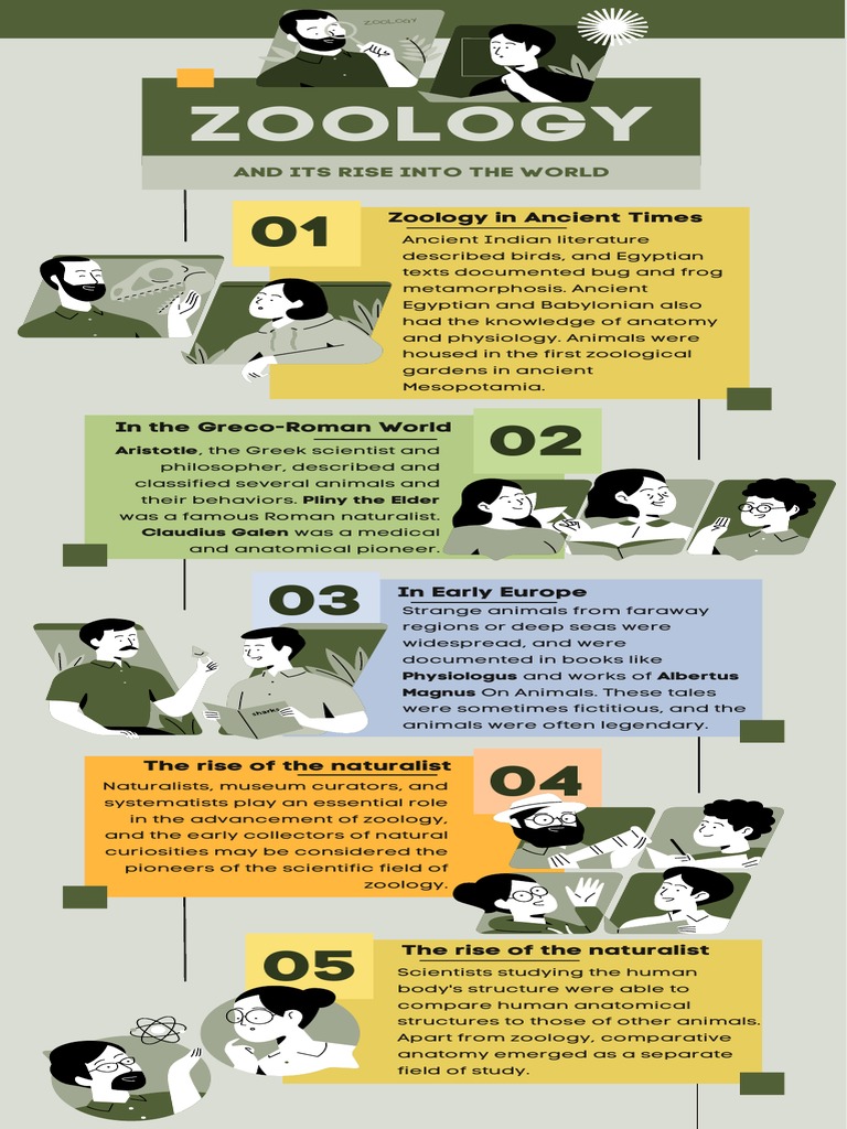 Ancient to Modern Zoology Evolution | PDF | Zoology | Biology