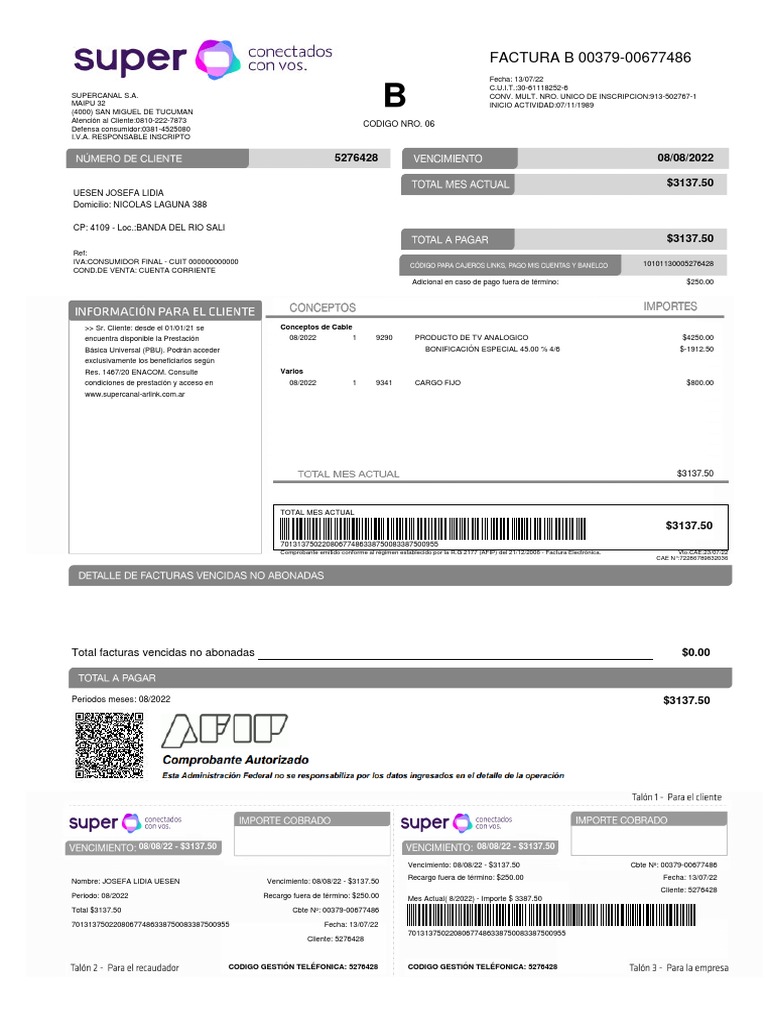 FACTURA B 00379-00677486: Codigo Nro. 06 | PDF | Pagos | Servicios ...