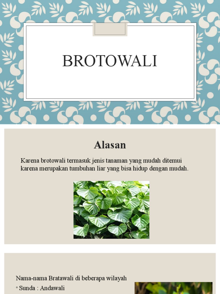 Bratawali | PDF