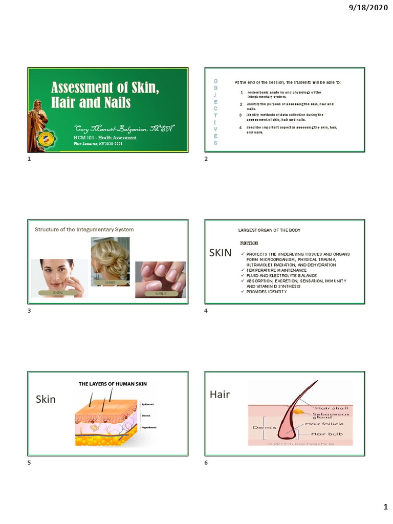Integumentary System Assessment Guide | PDF | Nail (Anatomy) | Hair