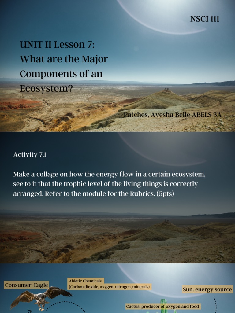 NSCI 111 UNIT 2 Major Components of The Ecosystem | PDF | Ecosystem ...