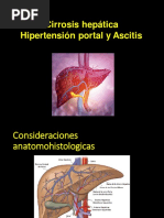 Fisiopatologia de La Cirrosis Hepatica | PDF | Cirrosis | Hígado