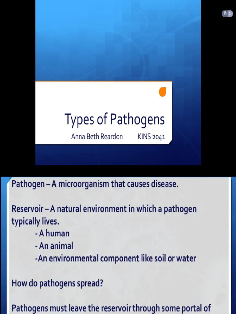 Understanding Immunity and Bacteria Types | PDF | Gram Positive ...