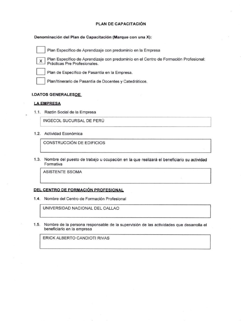 Ejemplo de Plan de Capacitacion | PDF