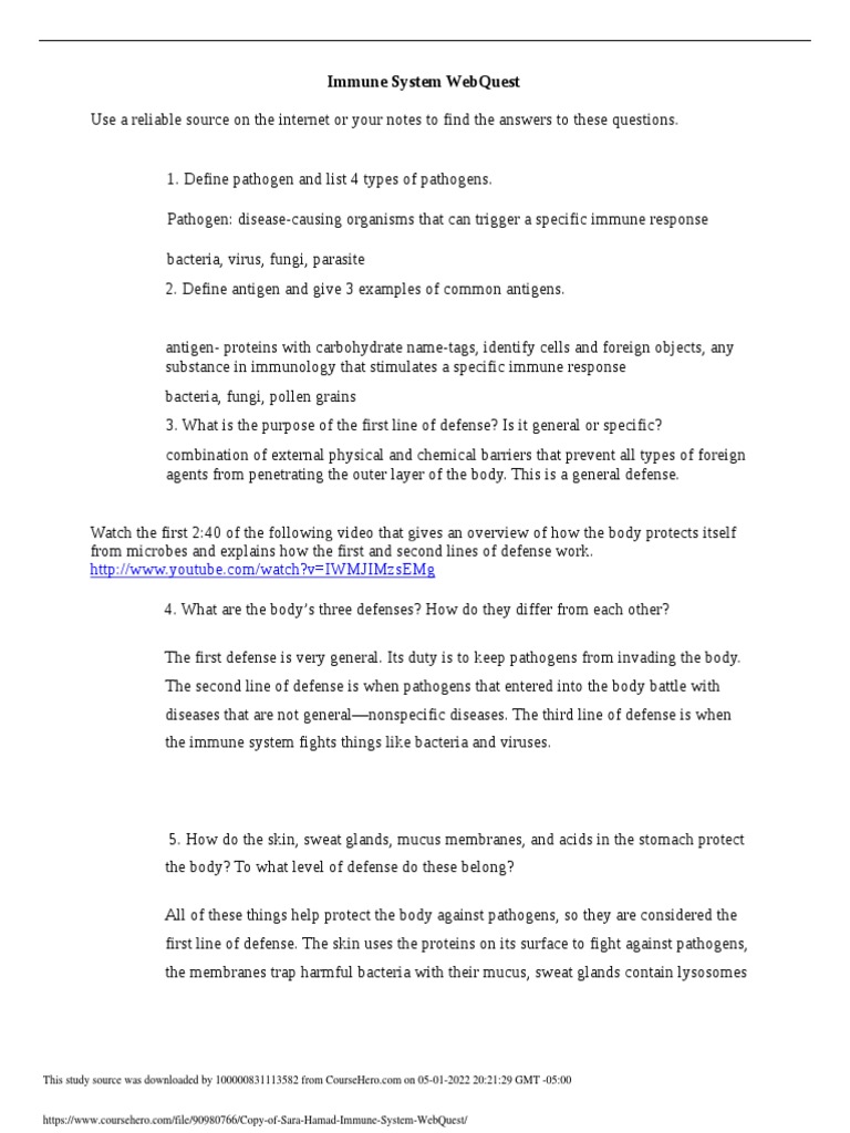Sara Hamad Immune System WebQuest | PDF | Immune System | Antigen