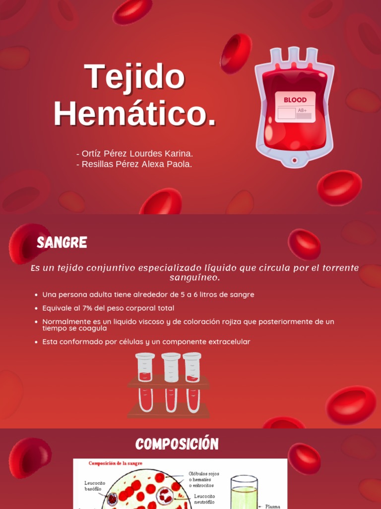 Tejido Hemático | PDF | Sangre | Leucocito