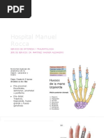 Mano en Garra: Causas y Tratamientos | PDF | Mano | Nervio