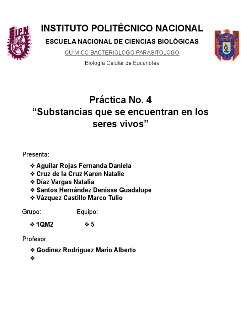 Práctica N°4 - 1QM2 - Eq5 | PDF
