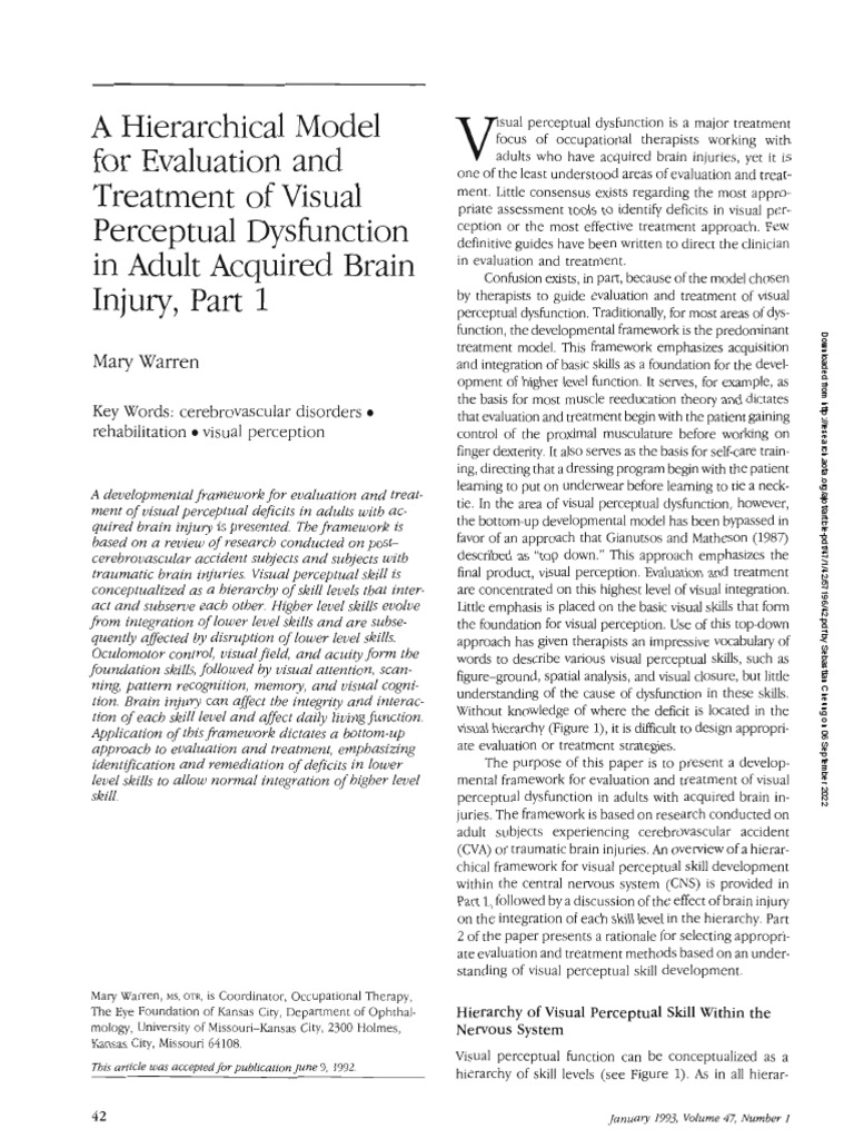 Visual Perceptual Dysfunction in Brain Injury | PDF | Contrast (Vision ...
