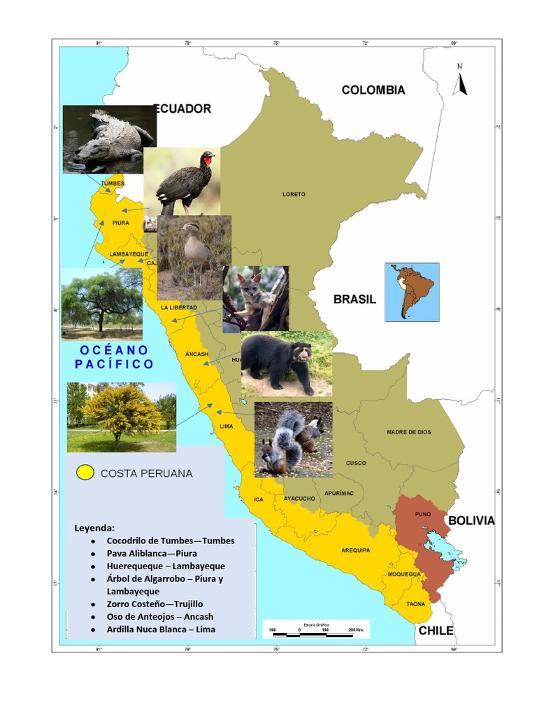 Mapa Tematico de La Costa | PDF