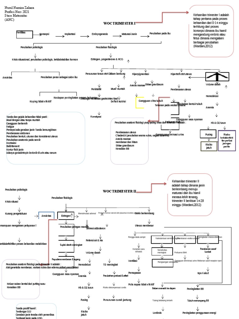 Woc Anc Fisiologis - 00012 | PDF