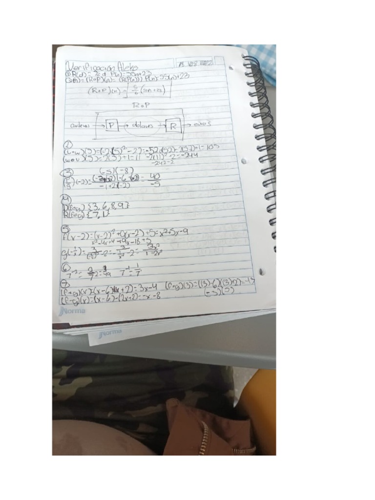 Verificación Aleks 1 | PDF