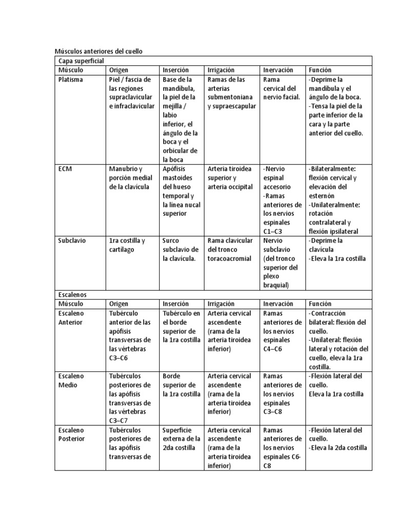 Musculos Del Cuello Pdf Anatomía Humana Sistema Musculoesquelético