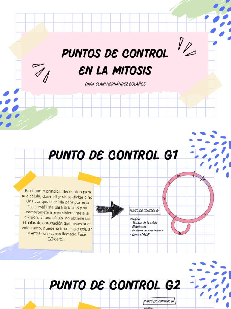 Puntos de Control Mitosis | PDF | Mitosis | Genética
