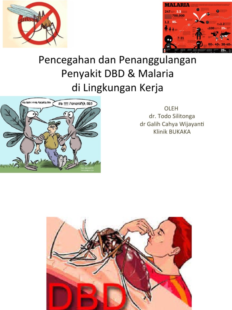 Penyuluhan DBD Malariappt PPT | PDF