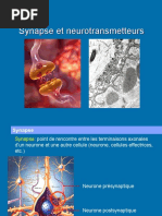 Cour Et Bilan Ppse Et Ppsi Sommation Temporelle Et Spatial | PDF ...