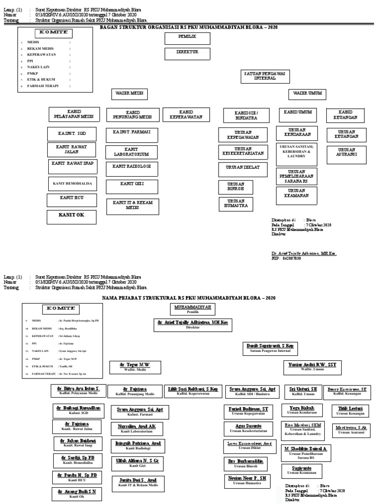 Bagan Struktur - Organisasi - RS - PKU - M - Blora-2020 - Oleh - Direktur | PDF