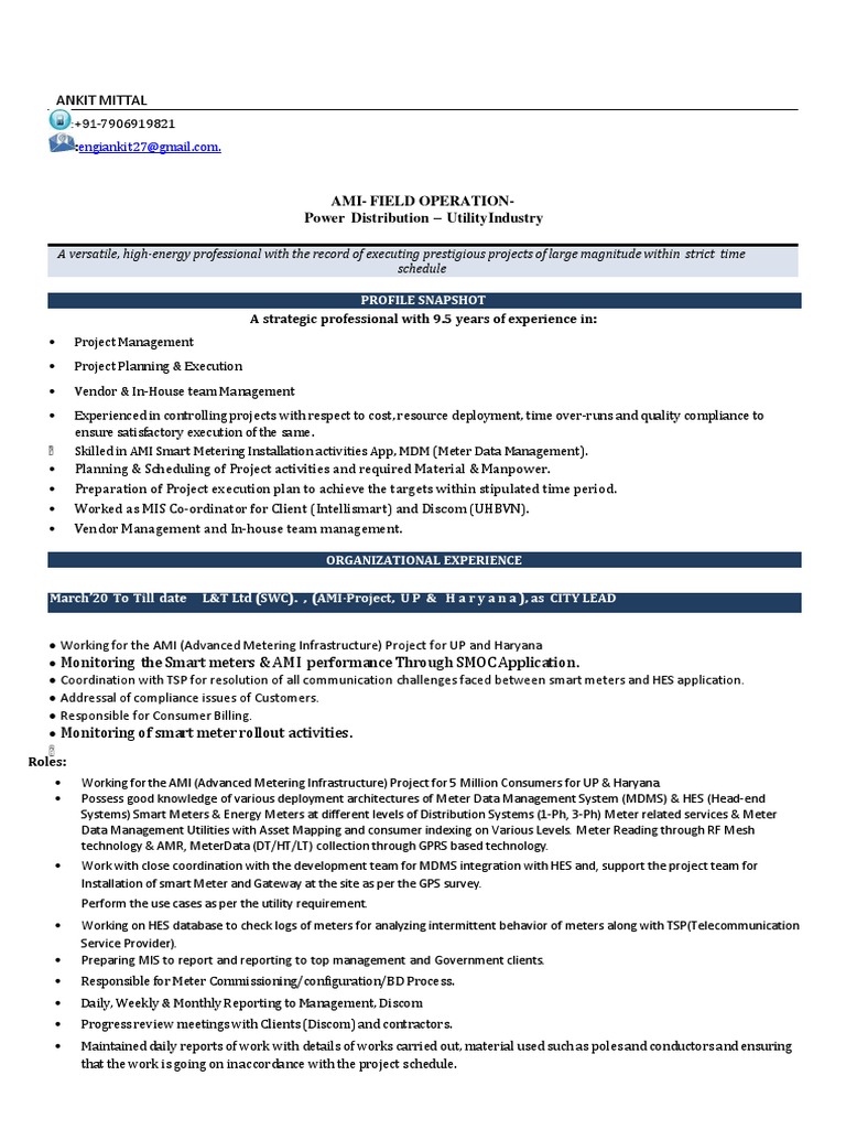 Ankit Mittal Update Resume PDF-1 | PDF | Computing | Information Technology