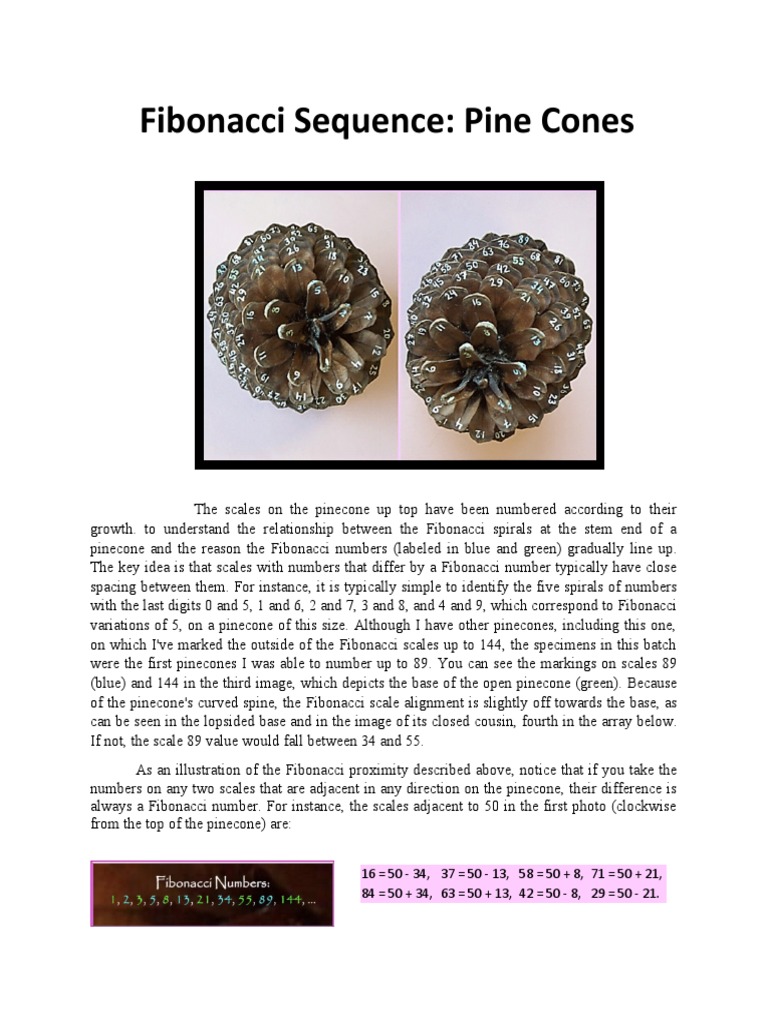 Fibonacci Sequence | PDF