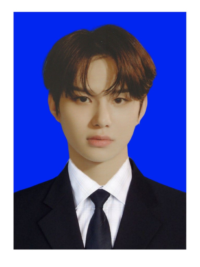 Kim Jungwoo | PDF