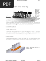 Camber Calculation PDF | PDF | Beam (Structure) | Structural Steel