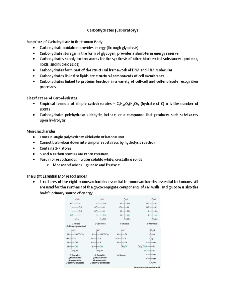 Carbohydrates Lab | PDF | Carbohydrates | Chemical Reactions