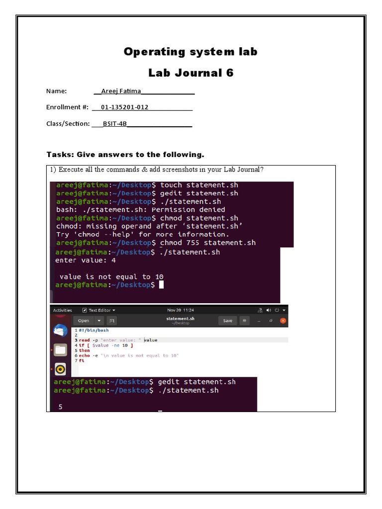 Shell Scripting Lab Exercises Guide | PDF