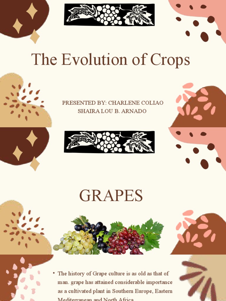 The Evolution of Crops: Presented By: Charlene Coliao Shaira Lou B ...