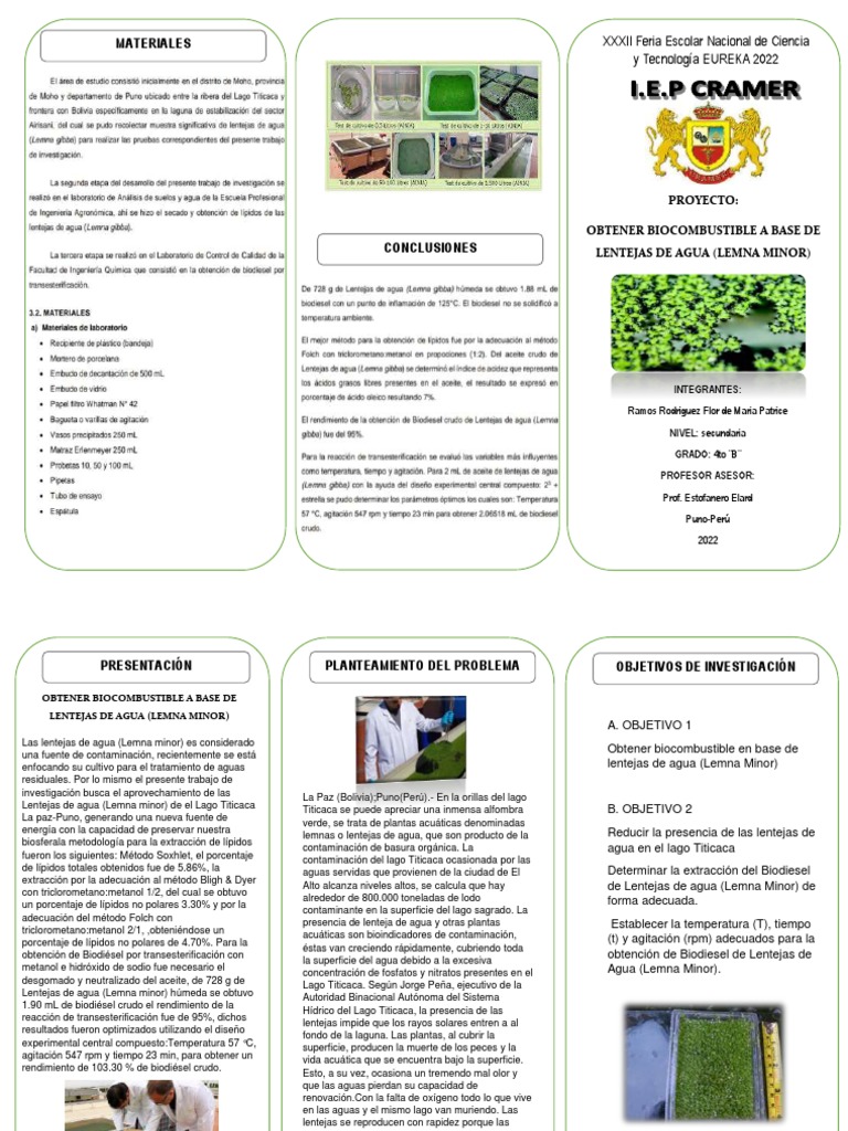 Triptico 4to B | PDF | Agua | Biodiésel