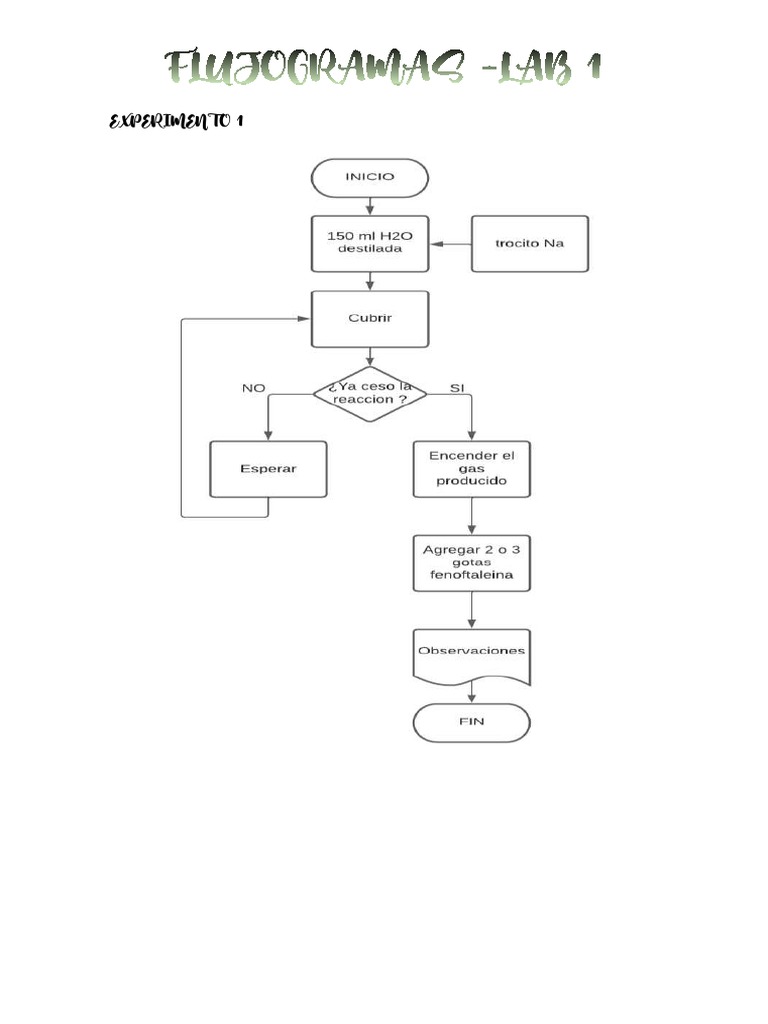 Flujogramas Lab 1 | PDF