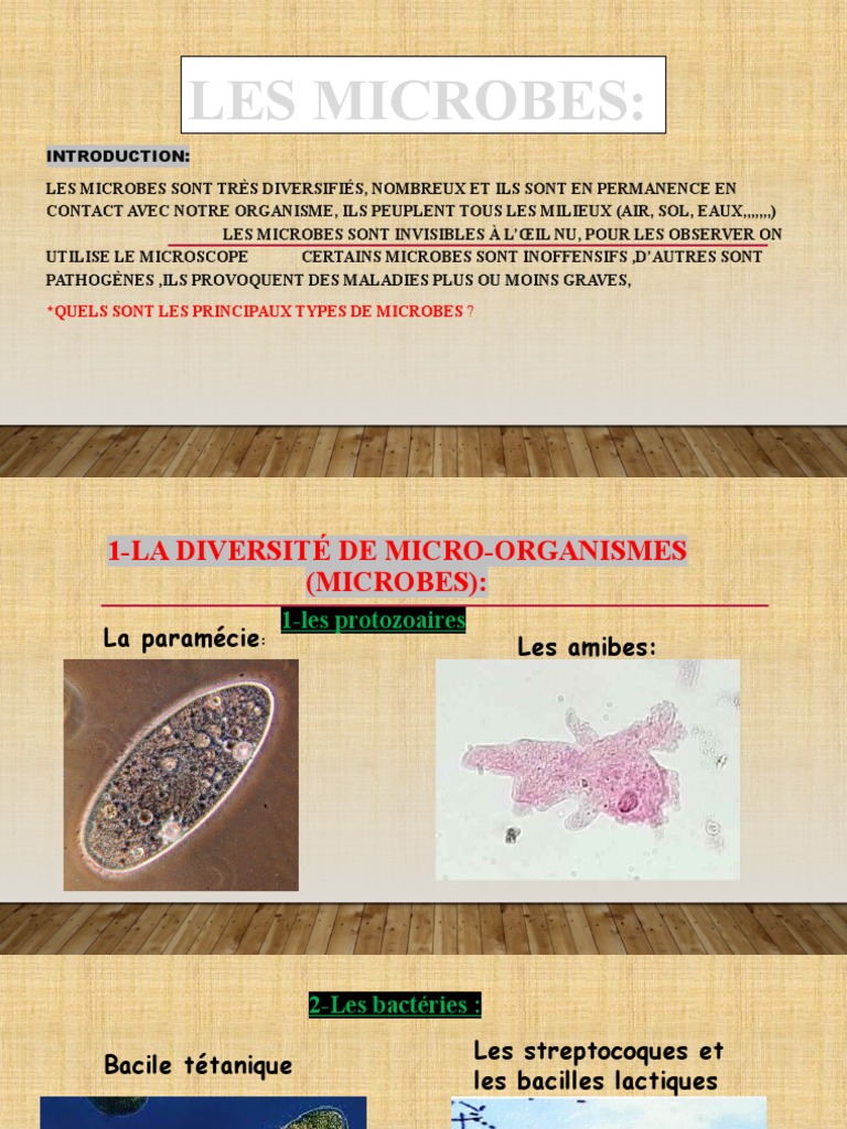 Les Microbes | PDF | Micro-organisme | Virus
