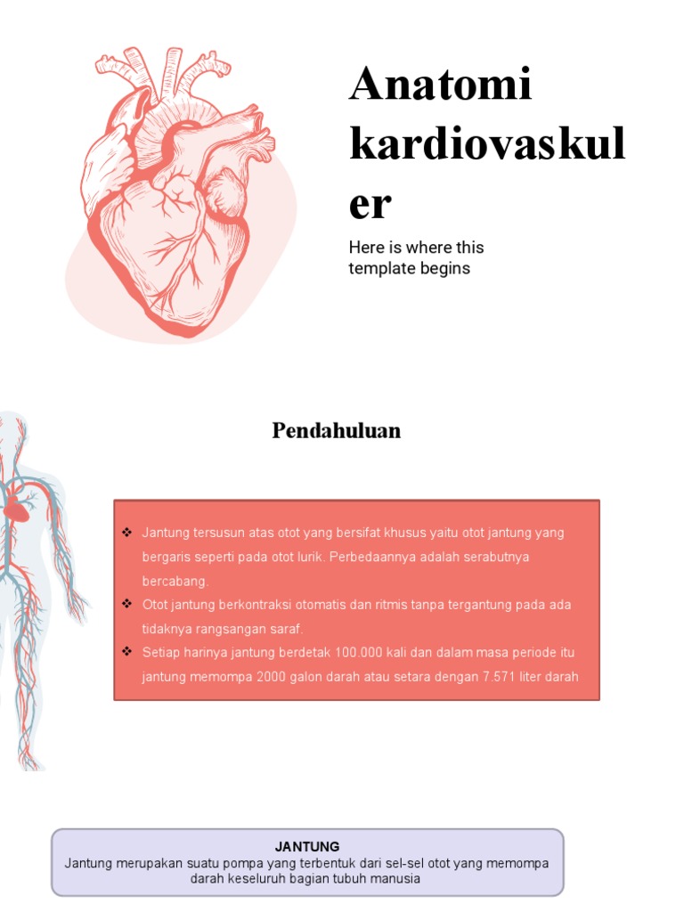 Anatomi Jantung | PDF
