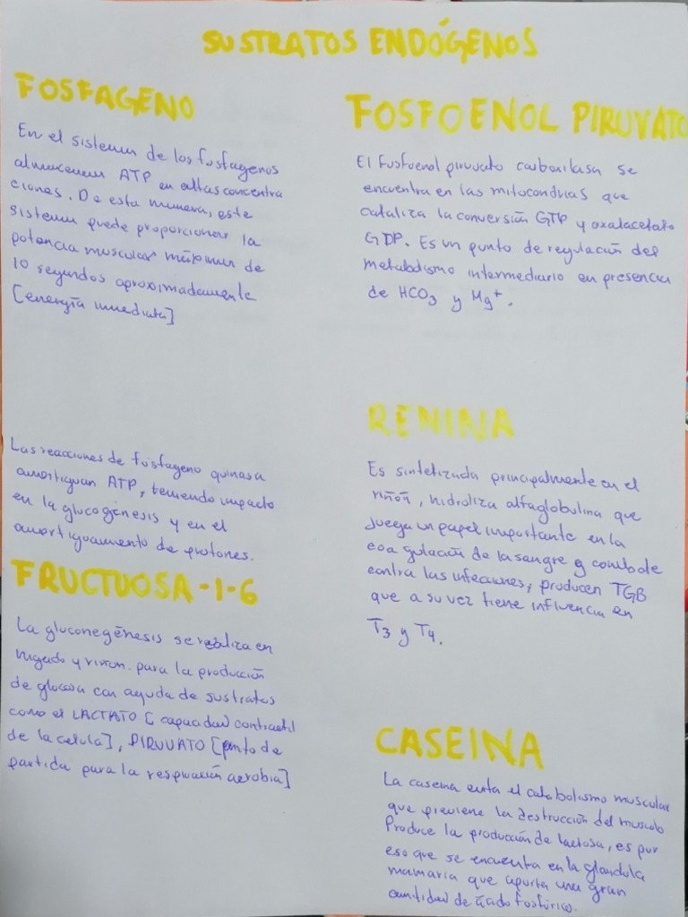 Sustratos Endógenos | PDF