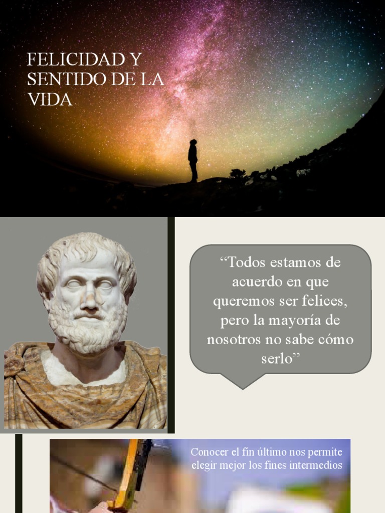 Unidad 8 - La Búsqueda de La Felicidad | PDF | Placer | Felicidad