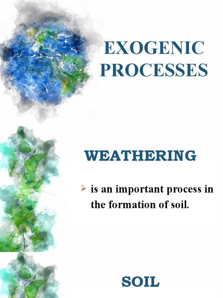 Exogenic Process | PDF