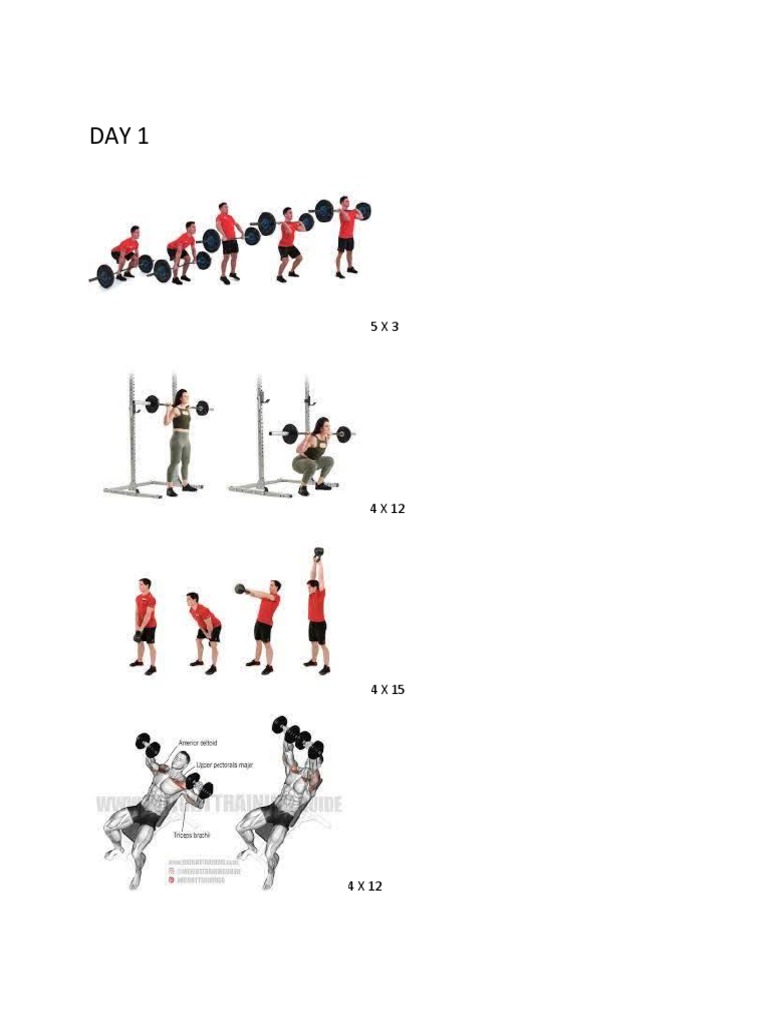 Andrew Garfield Workout | PDF | Home & Garden