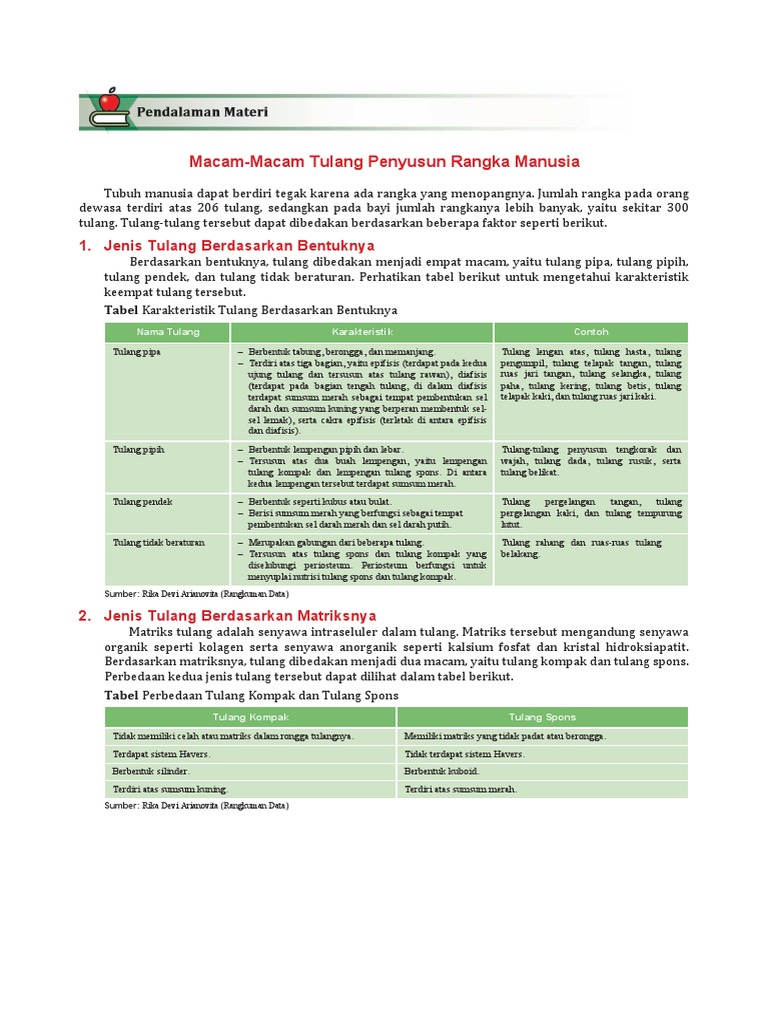 Macam-Macam Tulang Penyusun Rangka Manusia: 1. Jenis Tulang Berdasarkan ...