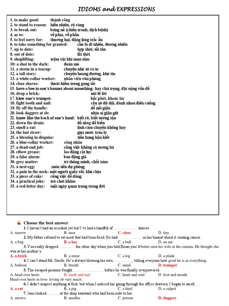 IDIOMS and EXPRESSION HSG | PDF