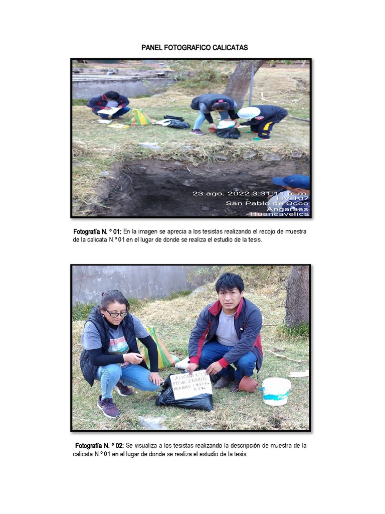 Panel Fotog Tesis Enriquez | PDF