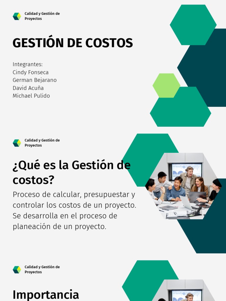 Gestion de Costos | PDF | Presupuesto | Software