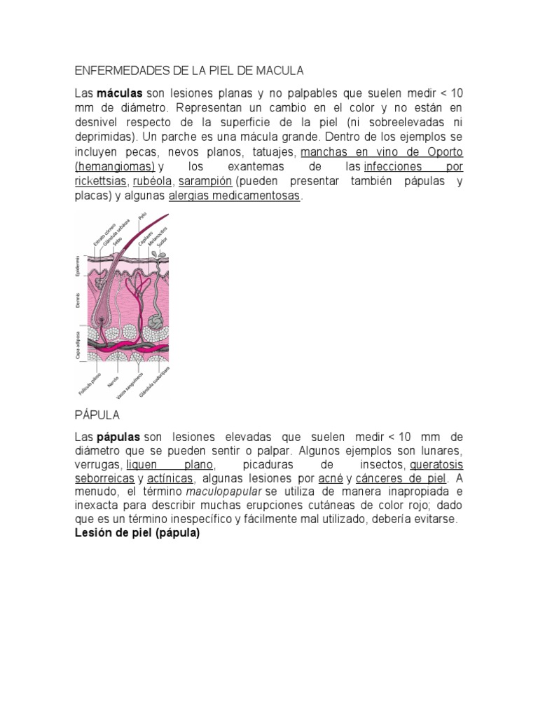 Enfermedades de La Piel de Macula | PDF | Piel | Psoriasis