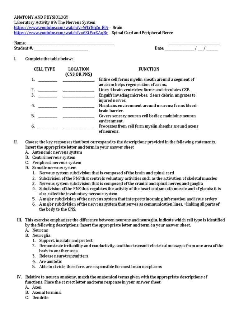 ANA-PHY Lab Activity 9 Nervous System - A | PDF